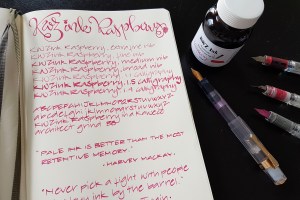 Janinescribbles – This is my place to share my passion for all things ...